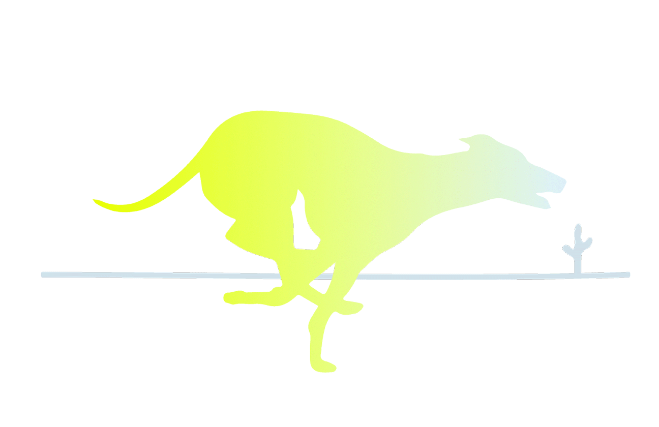 Maev | Raw dog food made easy.