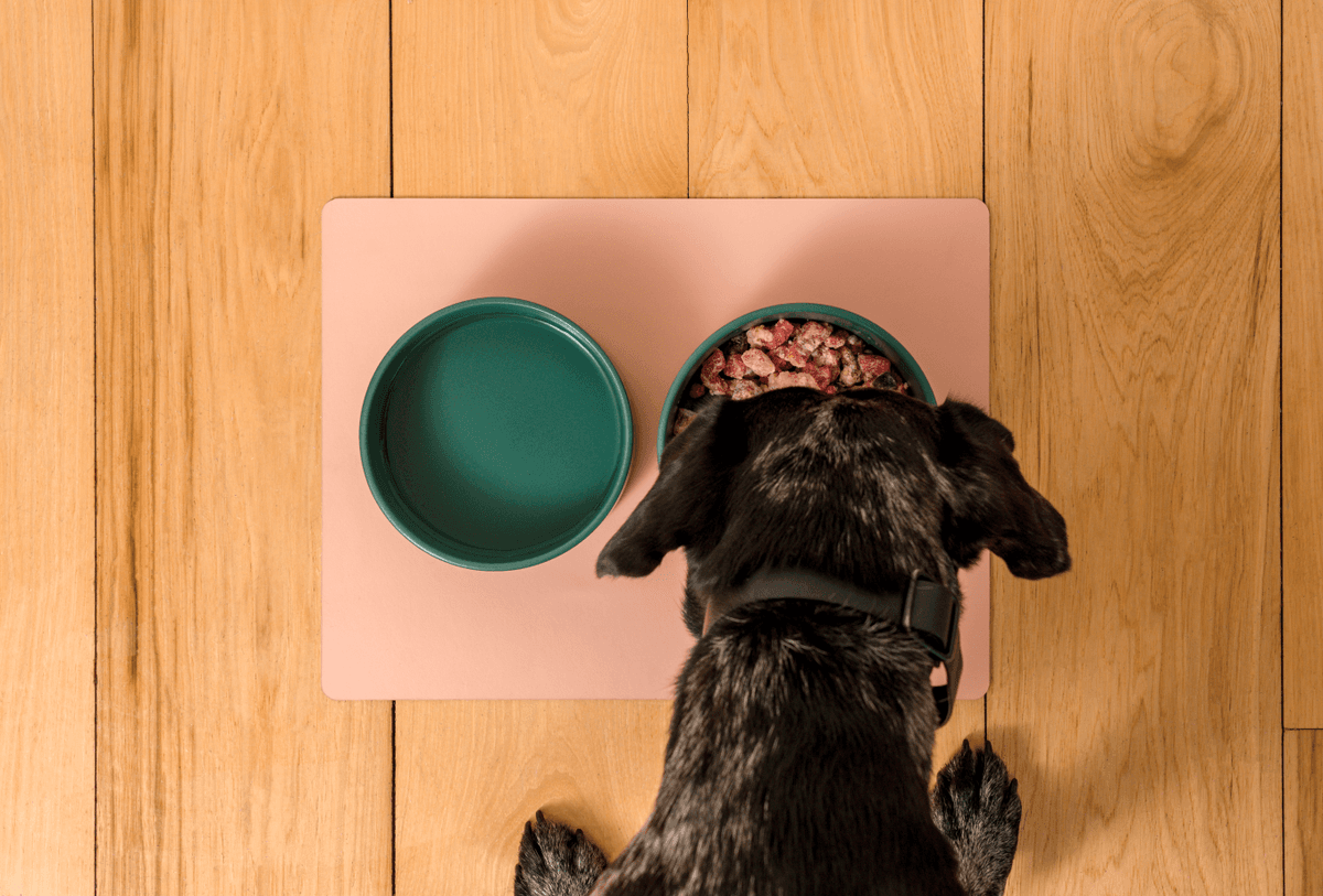 Compare dog food ingredients | Maev