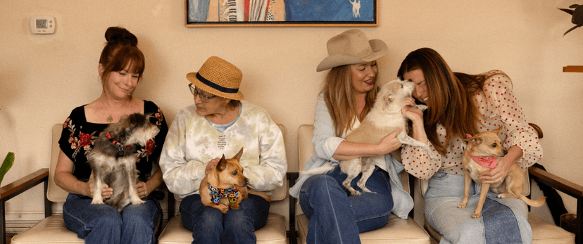 Maev Raw Food for Dogs